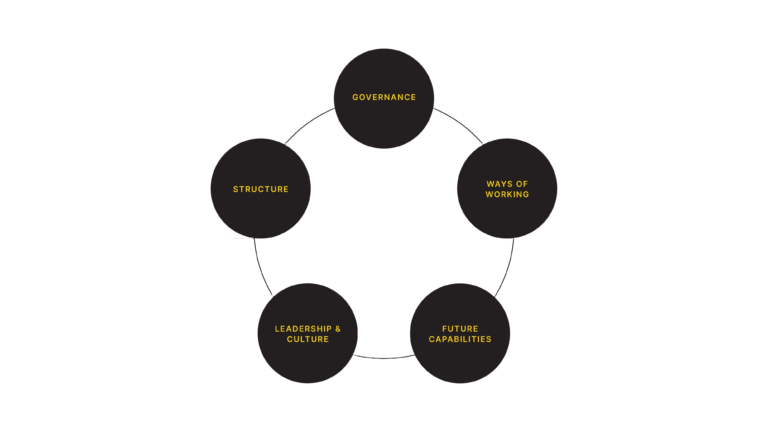 Operating Model Design | 1-Day Workshop | Radically Consulting
